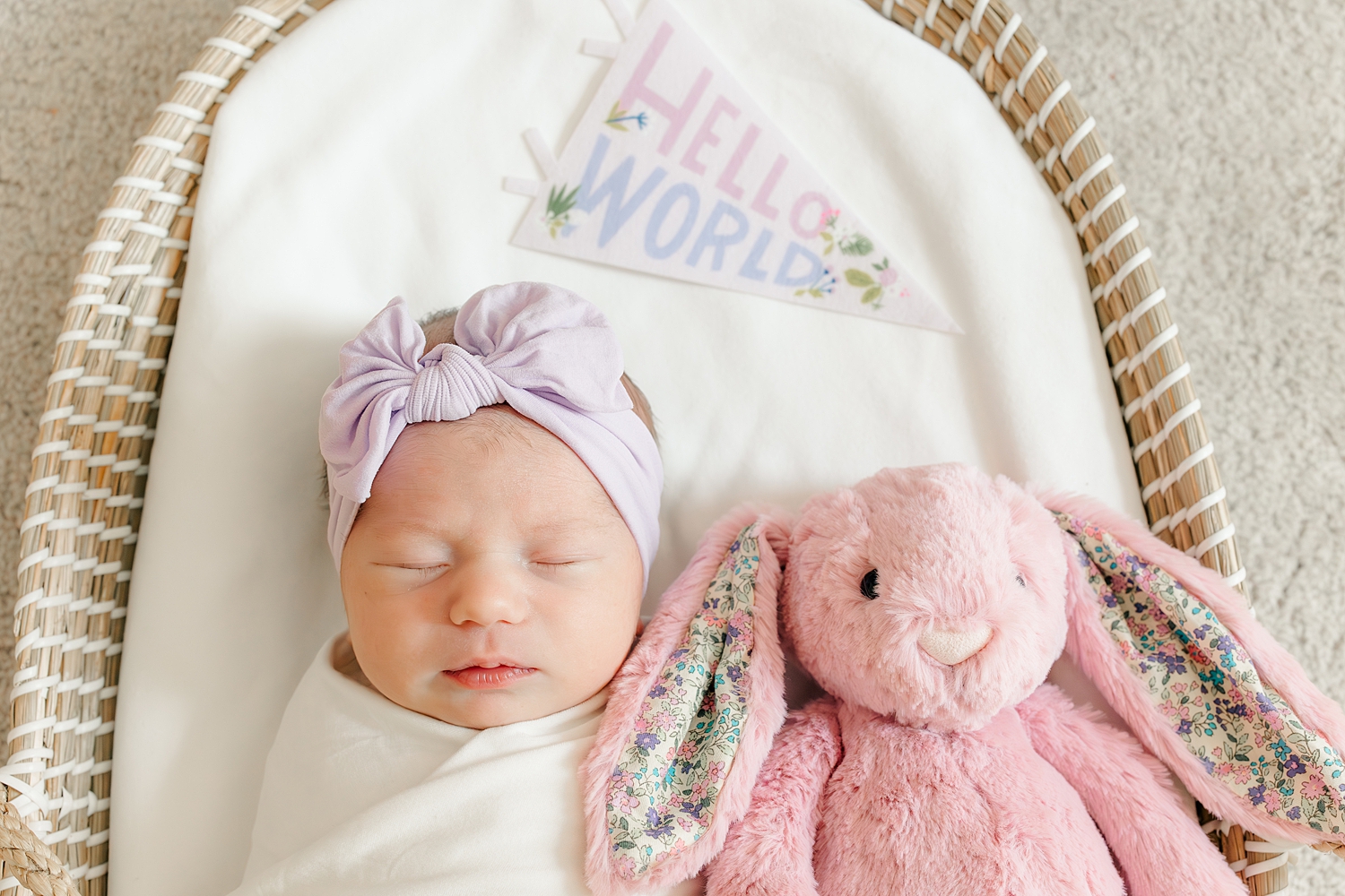 The Schmitz Family | Milestone Package - Sarah Schmidt Photo